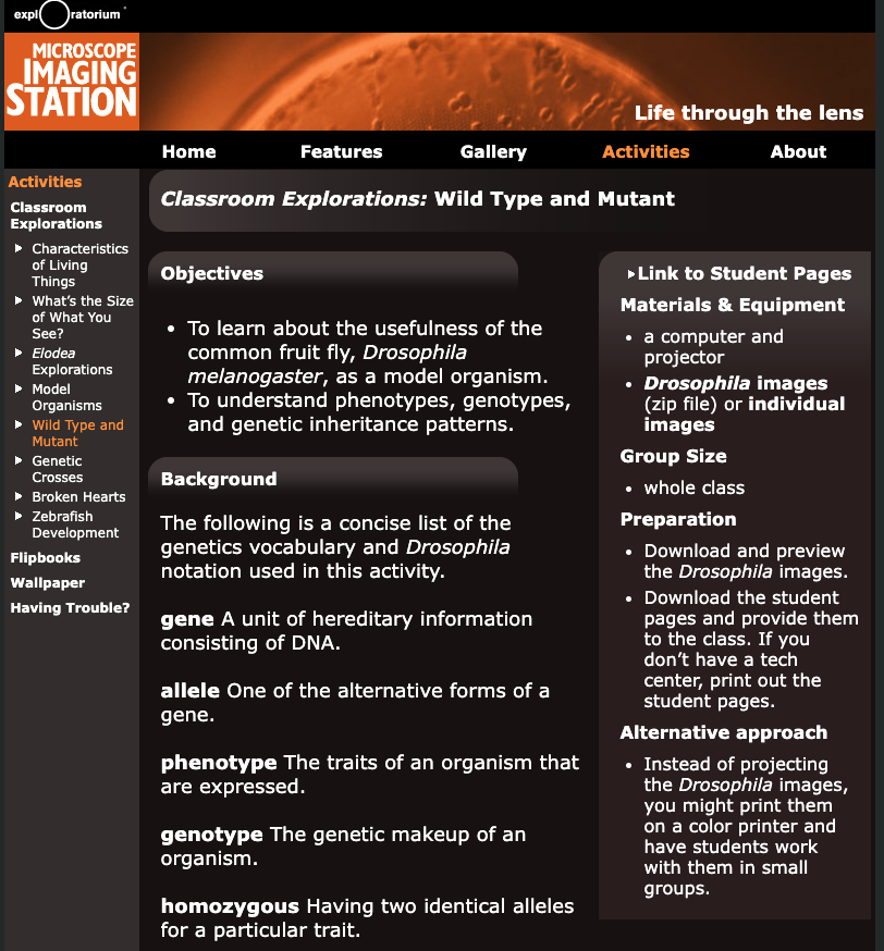 Outreach and Technical Assistance Network | Exploratorium: Wild Type ...
